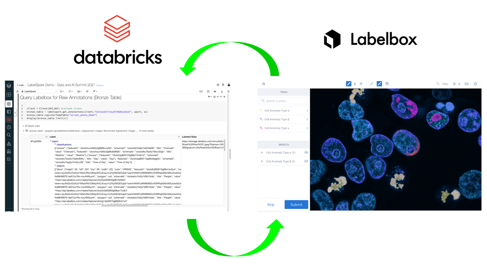 Announcing Labelbox on Databricks Partner Connect
