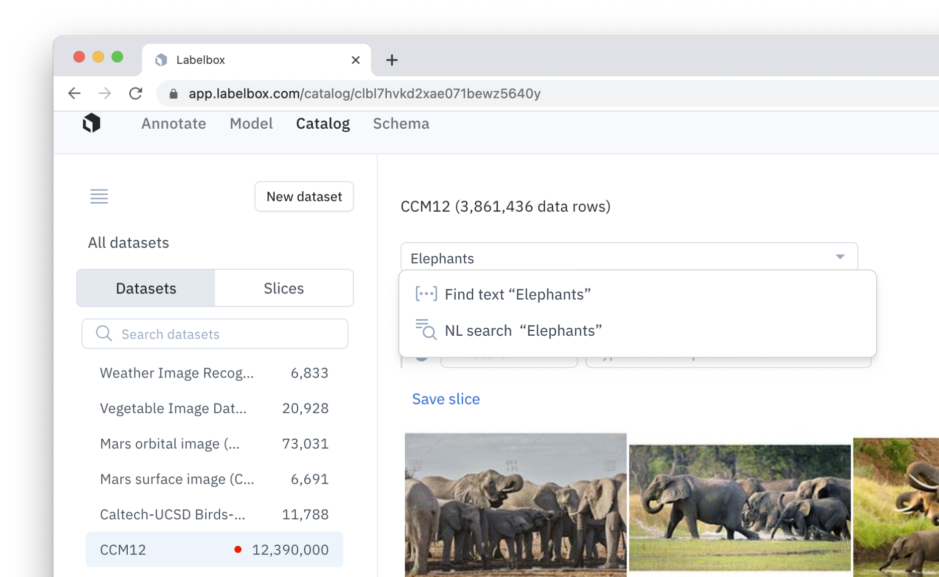 Text search and improved data previews